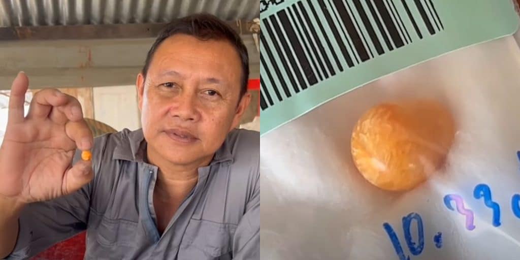 Isang lalaki, maswerteng nakakuha ng perlas na nagkakahalaga ng P1.6-M ...