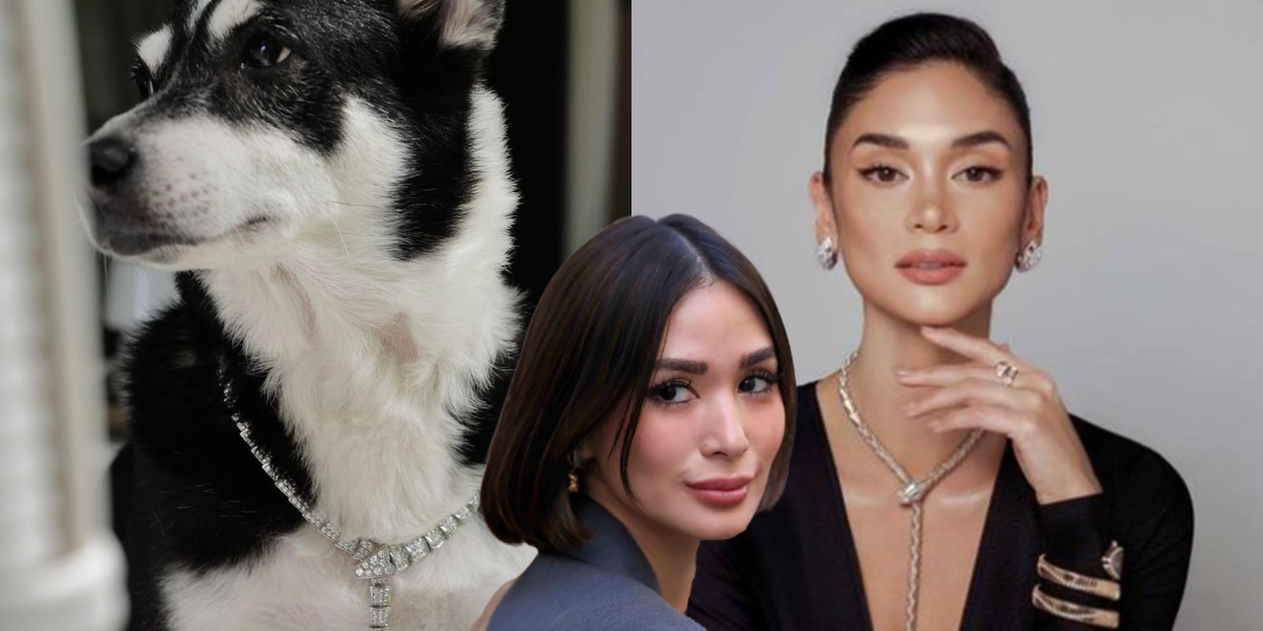 Heart Evangelista, may mensahe sa mga netizen na kinuwestiyon ang pagsosoot ng kanyang aso ng ...